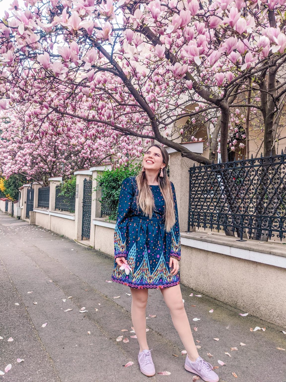 The biggest and most beautiful magnolias in Bucharest - AnotherSide Of Me