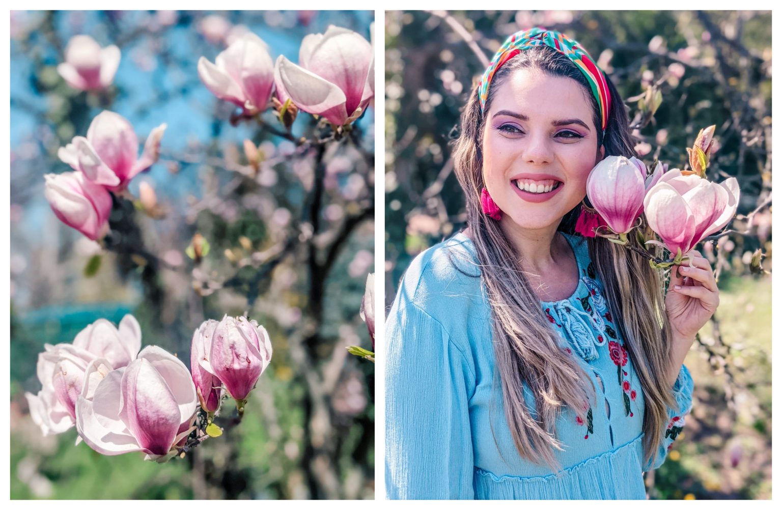 The biggest and most beautiful magnolias in Bucharest - AnotherSide Of Me