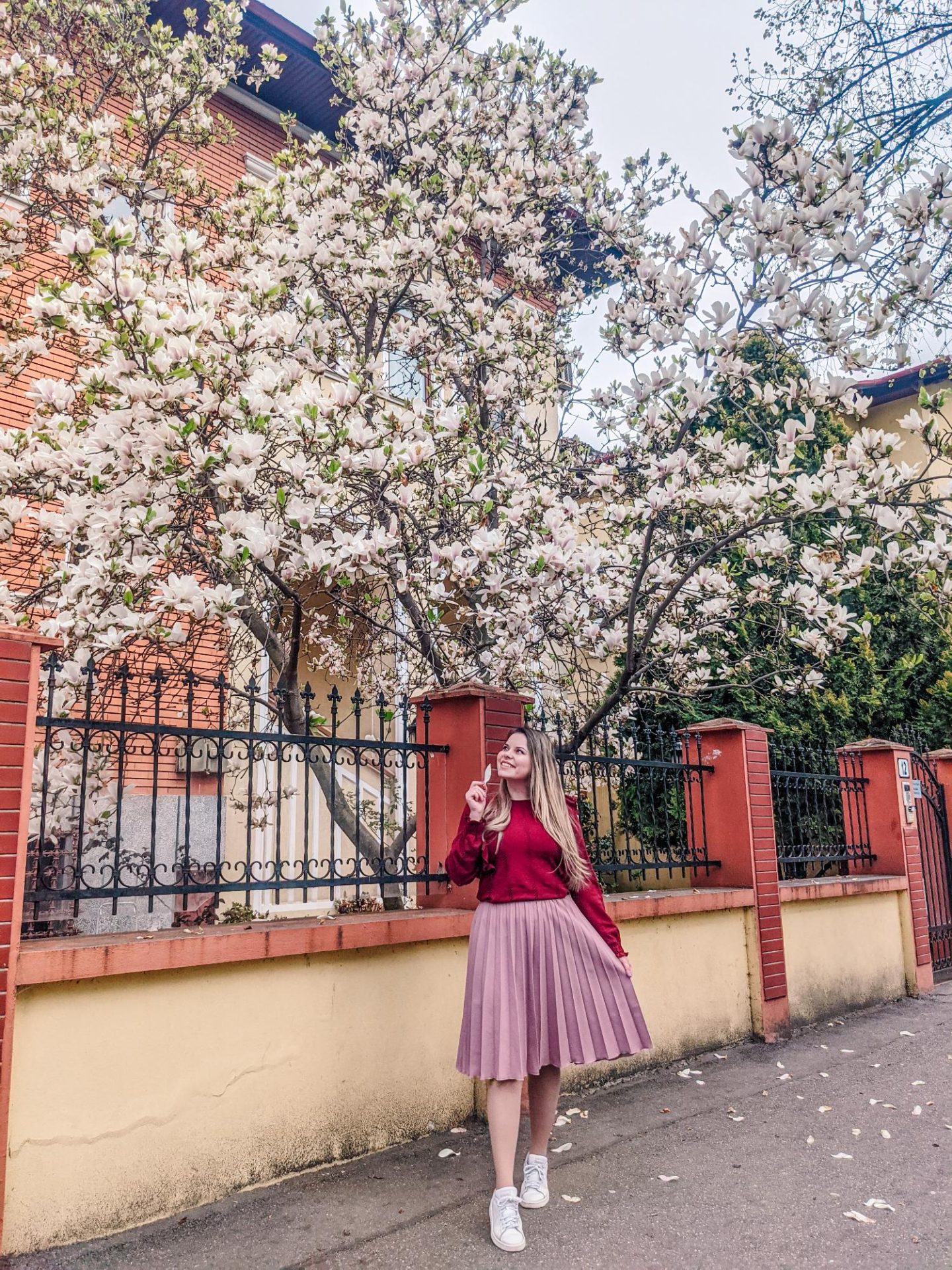 The biggest and most beautiful magnolias in Bucharest - AnotherSide Of Me