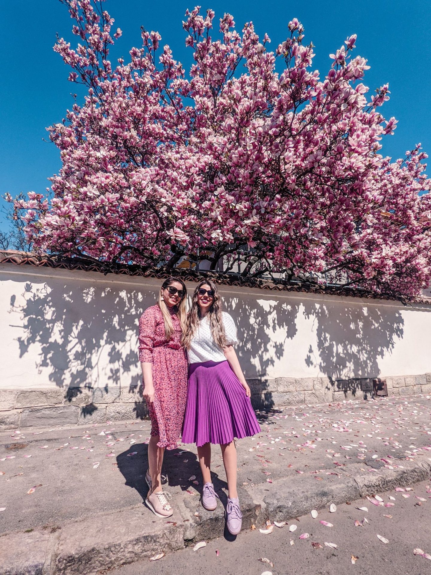 The biggest and most beautiful magnolias in Bucharest - AnotherSide Of Me