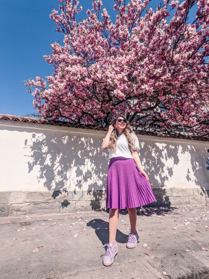 The biggest and most beautiful magnolias in Bucharest - AnotherSide Of Me